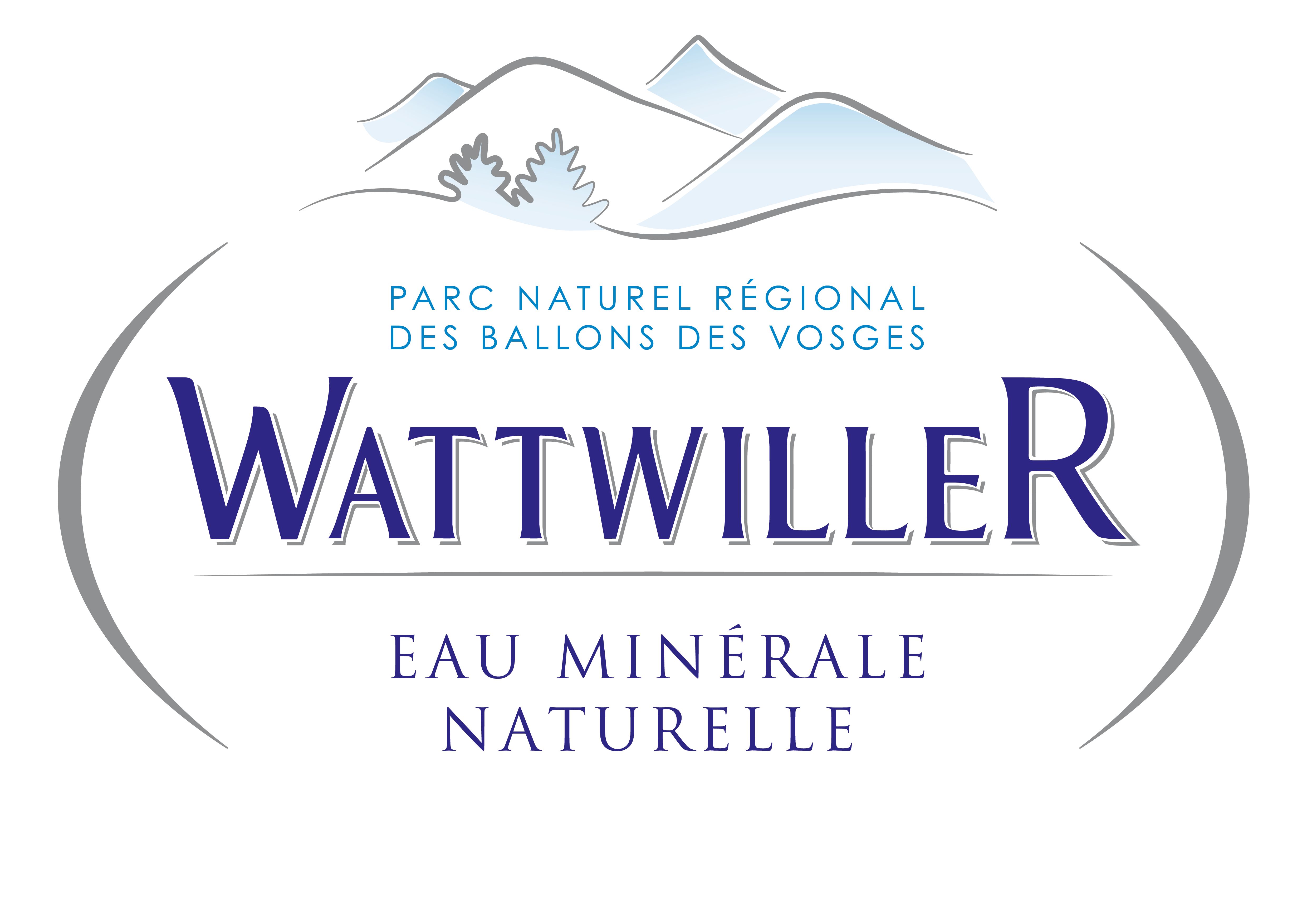 Eau minérale plate wattwiller 1 litre pet | WATTWILLER | Hellopro