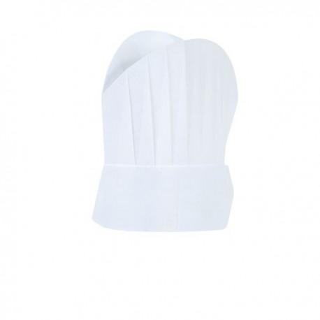 Toque et charlotte à cheveux - tous les fournisseurs - toque cheveux ...