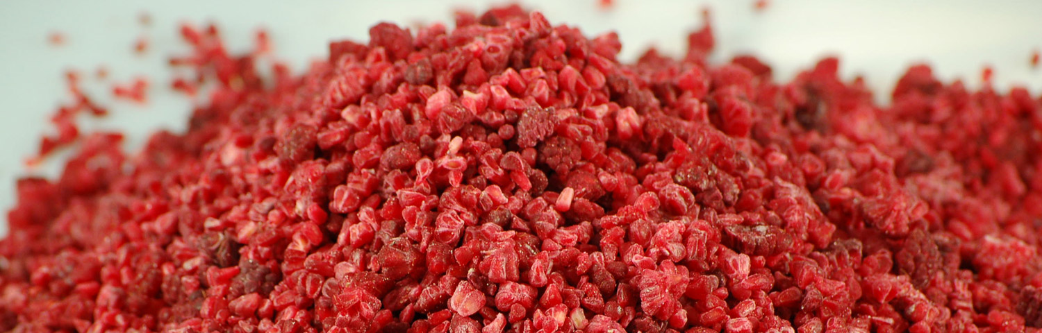 Framboise brisure biologique surgelee