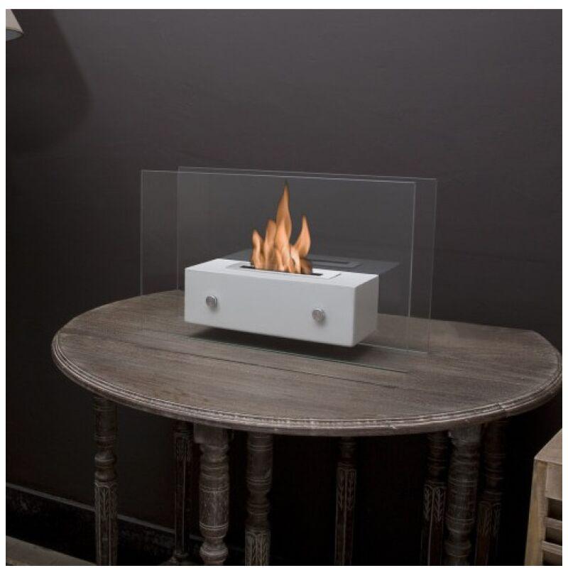 Cheminées bio - Comparez les prix pour professionnels sur Hellopro.fr ...