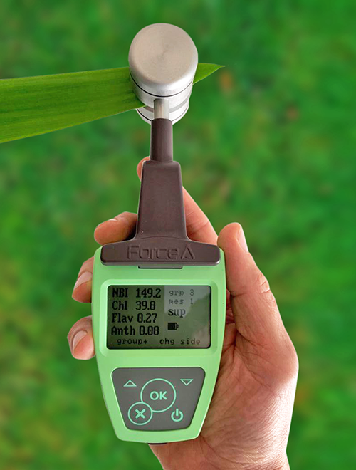 Dualex - capteur de feuilles qui mesure la teneur en chlorophylle et en ...